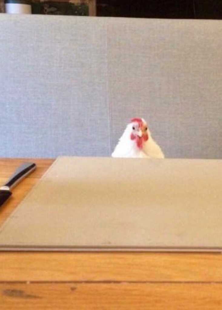 About – The Barrier Scroll